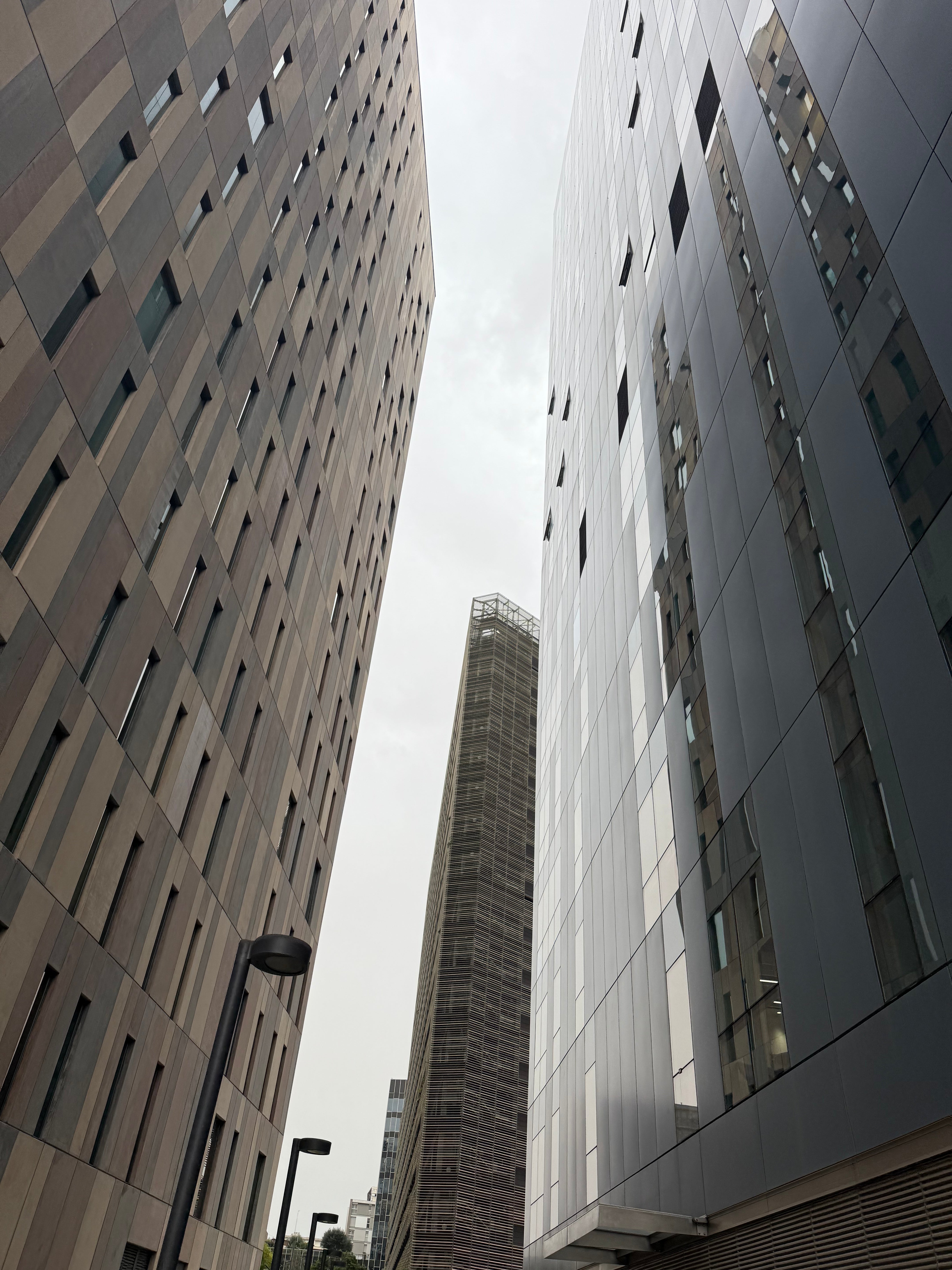 Sostenibilidad El Adn De La Empresa O Solo Estrategia De Comunicació